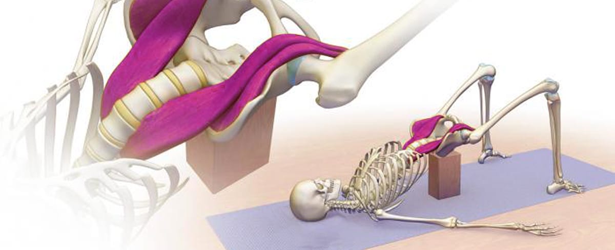 Psoas: il muscolo dell'anima per allontanare ansia e stress Psoas: il muscolo dell'anima per allontanare ansia e stress